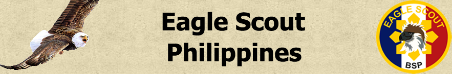 Philippines Eagle Pins